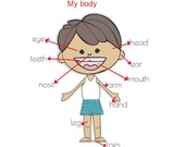 TOMi.digital - Body parts