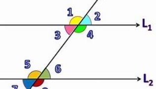 TOMi.digital - Rectas Transversales