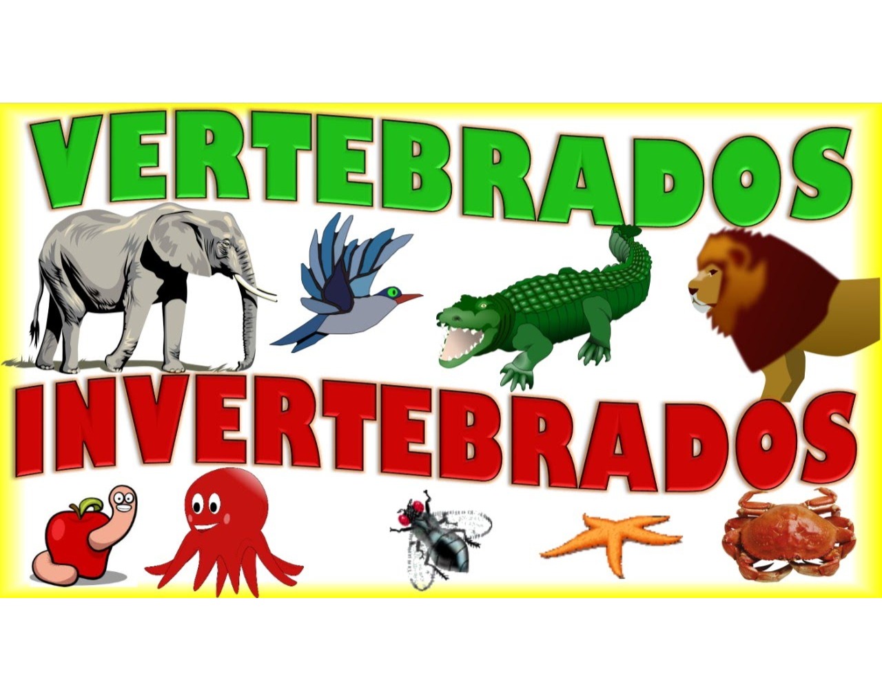 Clipart De Vertebrados E Invertebrados Caderno De Atividades Sobre