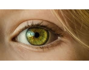 TOMi.digital - Ejemplo de clase1