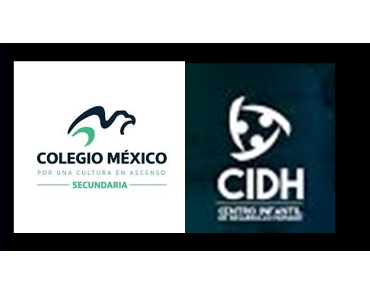 TOMi.digital - Alejandro Licea