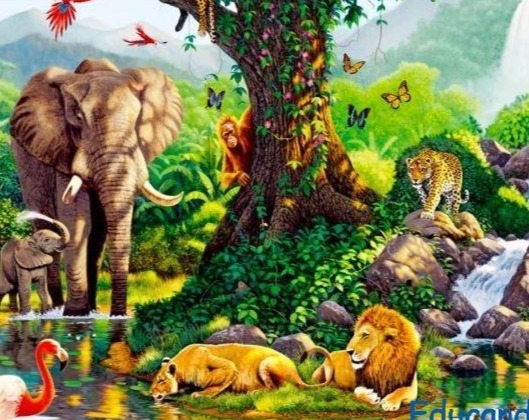 TOMi.digital - CICLO BIOGEOQUIMICO