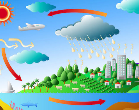 TOMi.digital - Ciclos Biogeoquimicos