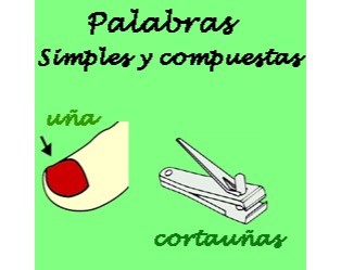 TOMi.digital - Palabras simples y compuestas