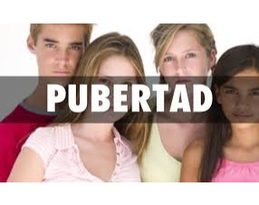 TOMi.digital - La pubertad