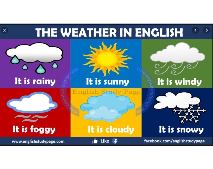 TOMi.digital - The weather