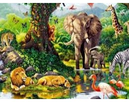 TOMi.digital - INTERACCIONES ENTRE LOS SERES VIVOS