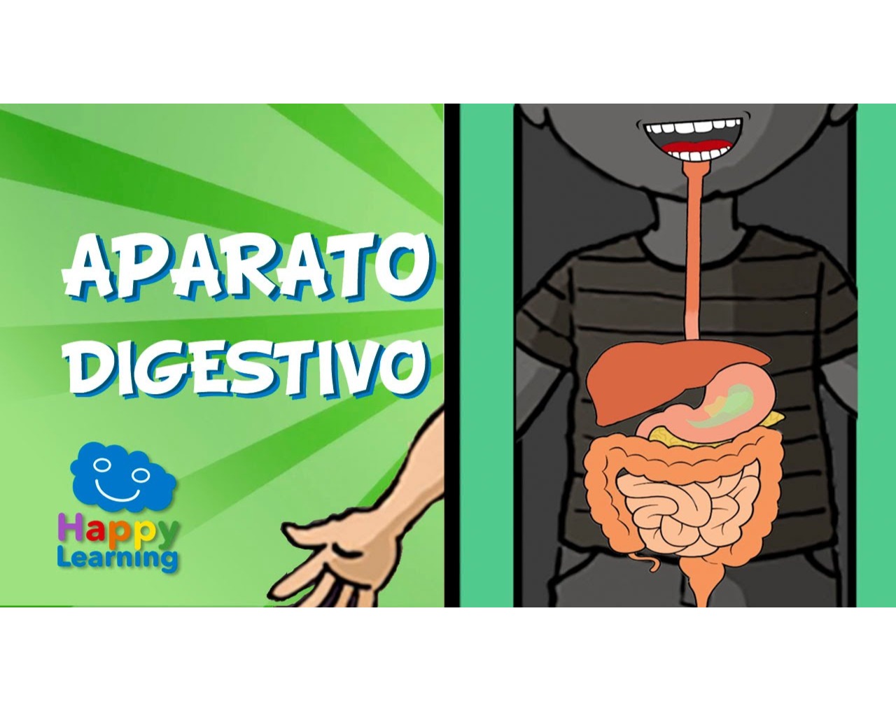 TOMi.digital - El sistema digestivo (11-09)