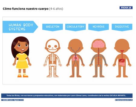 TOMi.digital - Maria Leticia Yepes Palacio