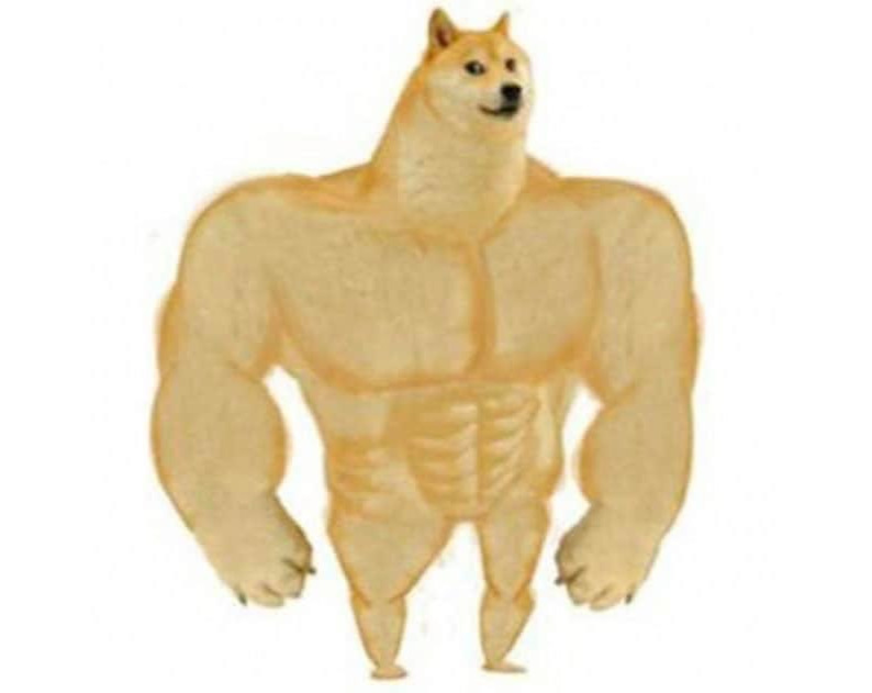 TOMi.digital - EDUCACION