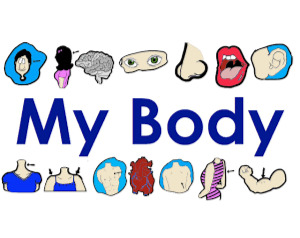 TOMi.digital - Parts of the Body