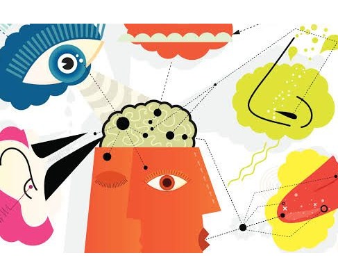 TOMi.digital - Multisensorial