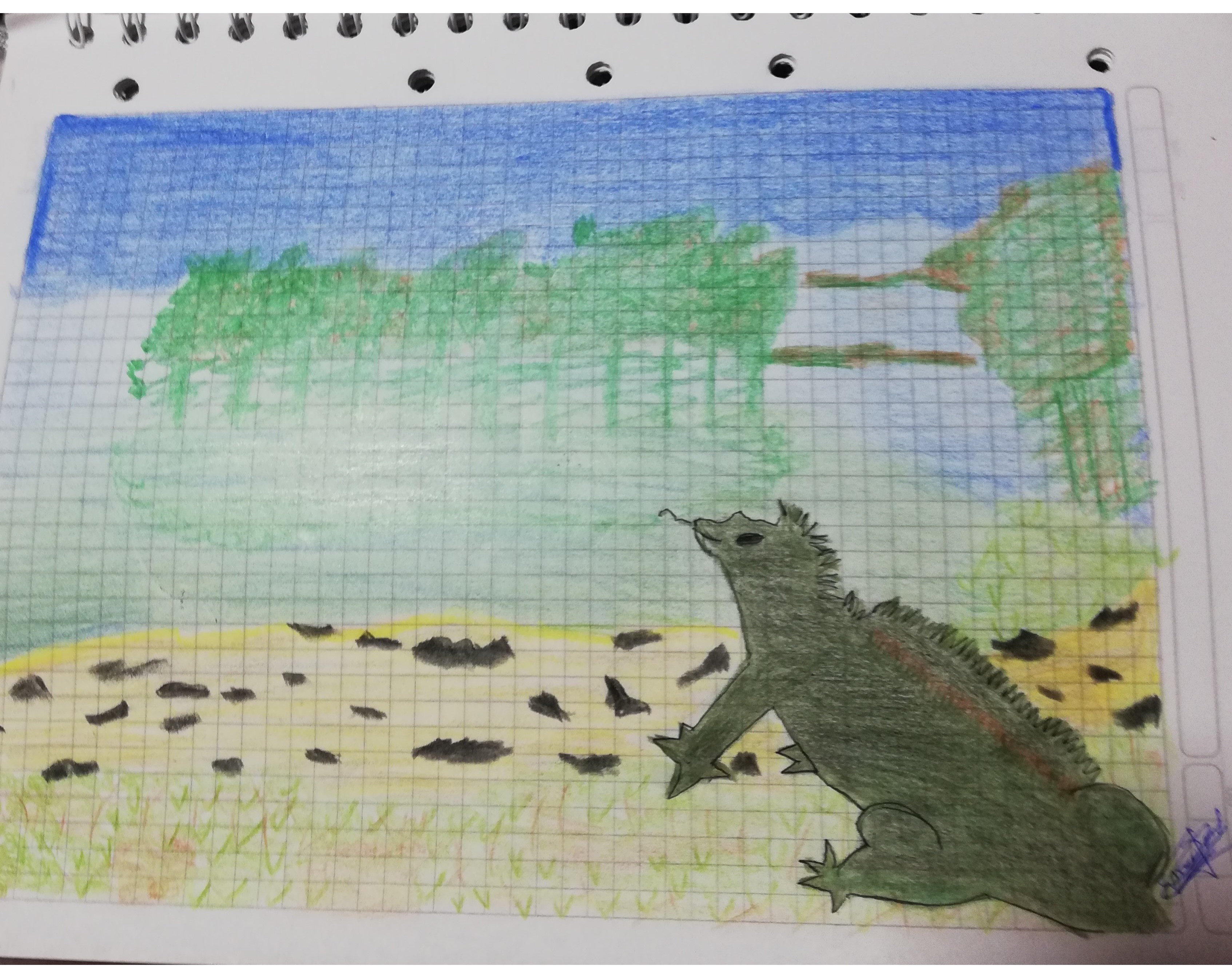 TOMi.digital - mate a