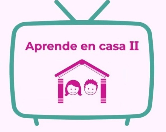 TOMi.digital - Alejandra Rodarte