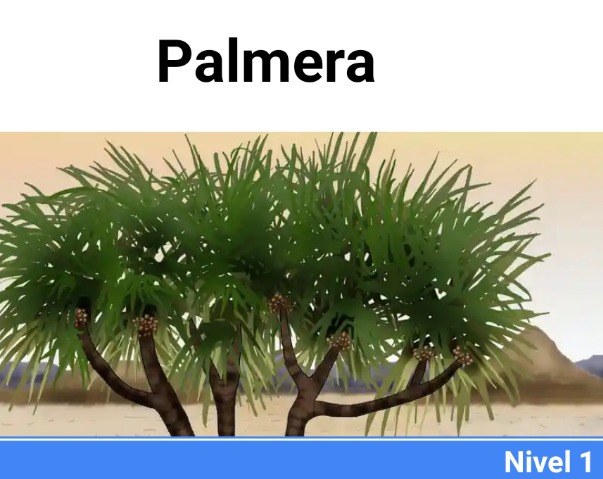 TOMi.digital - Cuento 4: Palmera