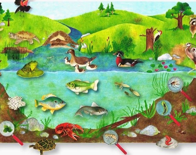 TOMi.digital - HABITAT DE ANIMALES