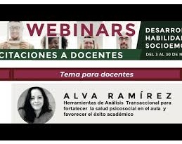 TOMi.digital - Dulce M Palacios G.