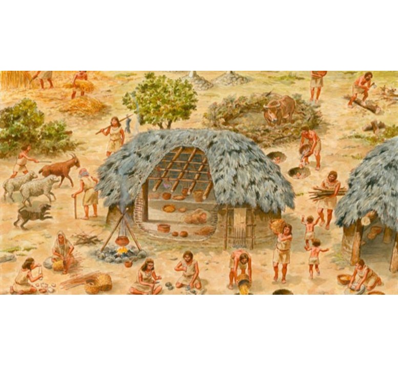 TOMi.digital - 3. La familia en la cultura: proceso histórico