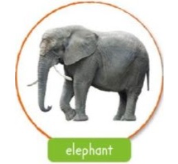 TOMi.digital - Present simple and Wh-words