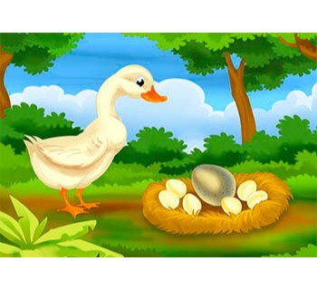 El Patito Feo De Timwell