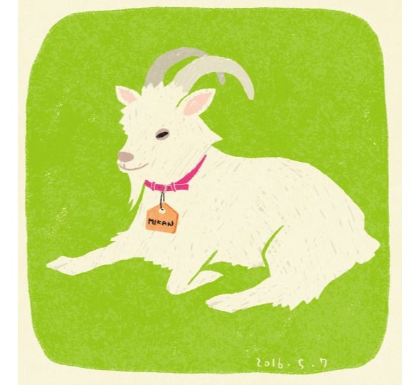 TOMi.digital - Farm animals