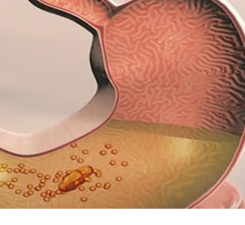 TOMi.digital - ¿Cuanto he aprendido? "homeostasis, insulina y glucagón"