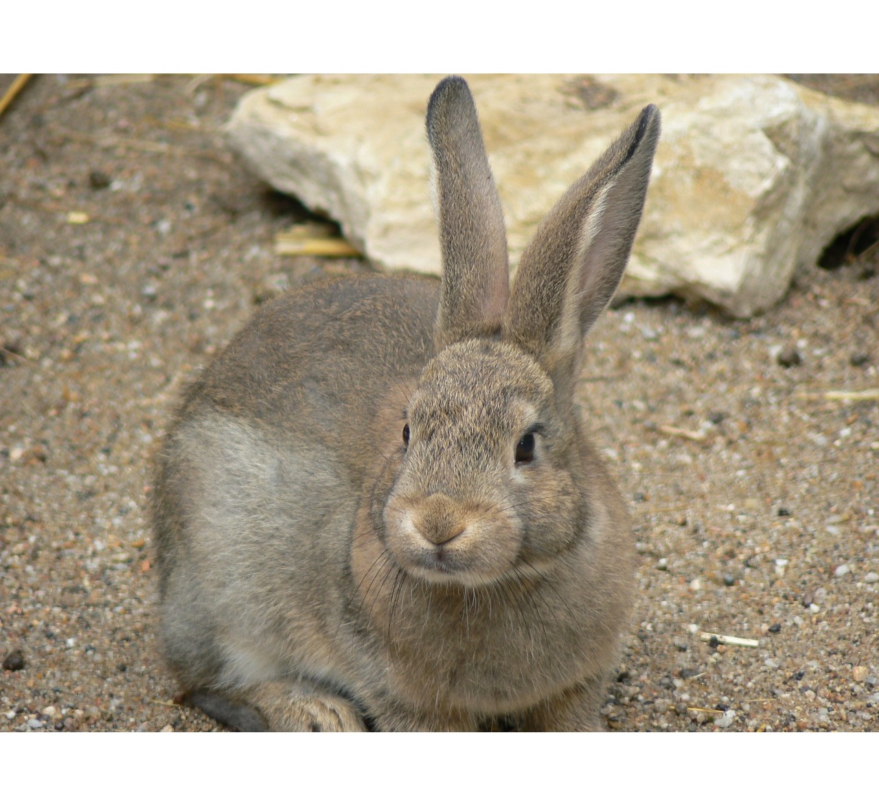 TOMi.digital - Verb to be (Class 2.3)