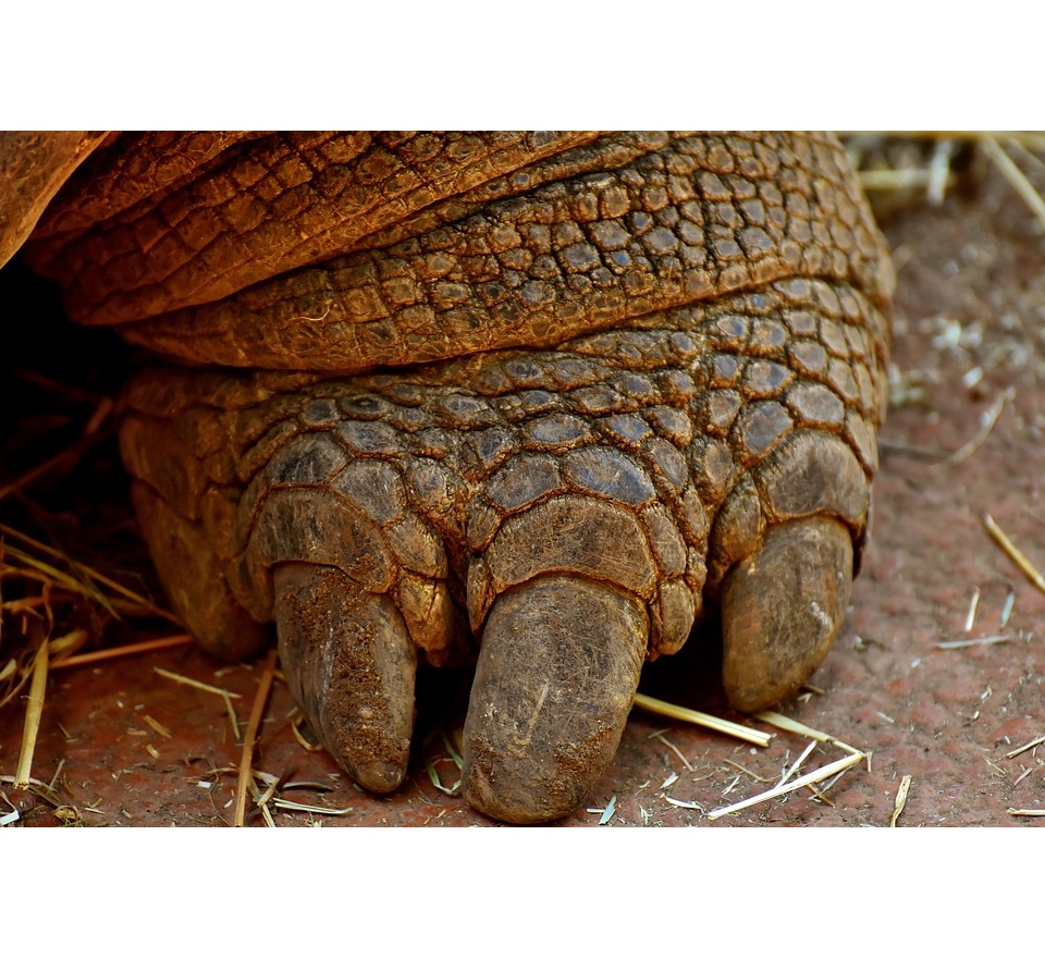 TOMi.digital - asdasdasda