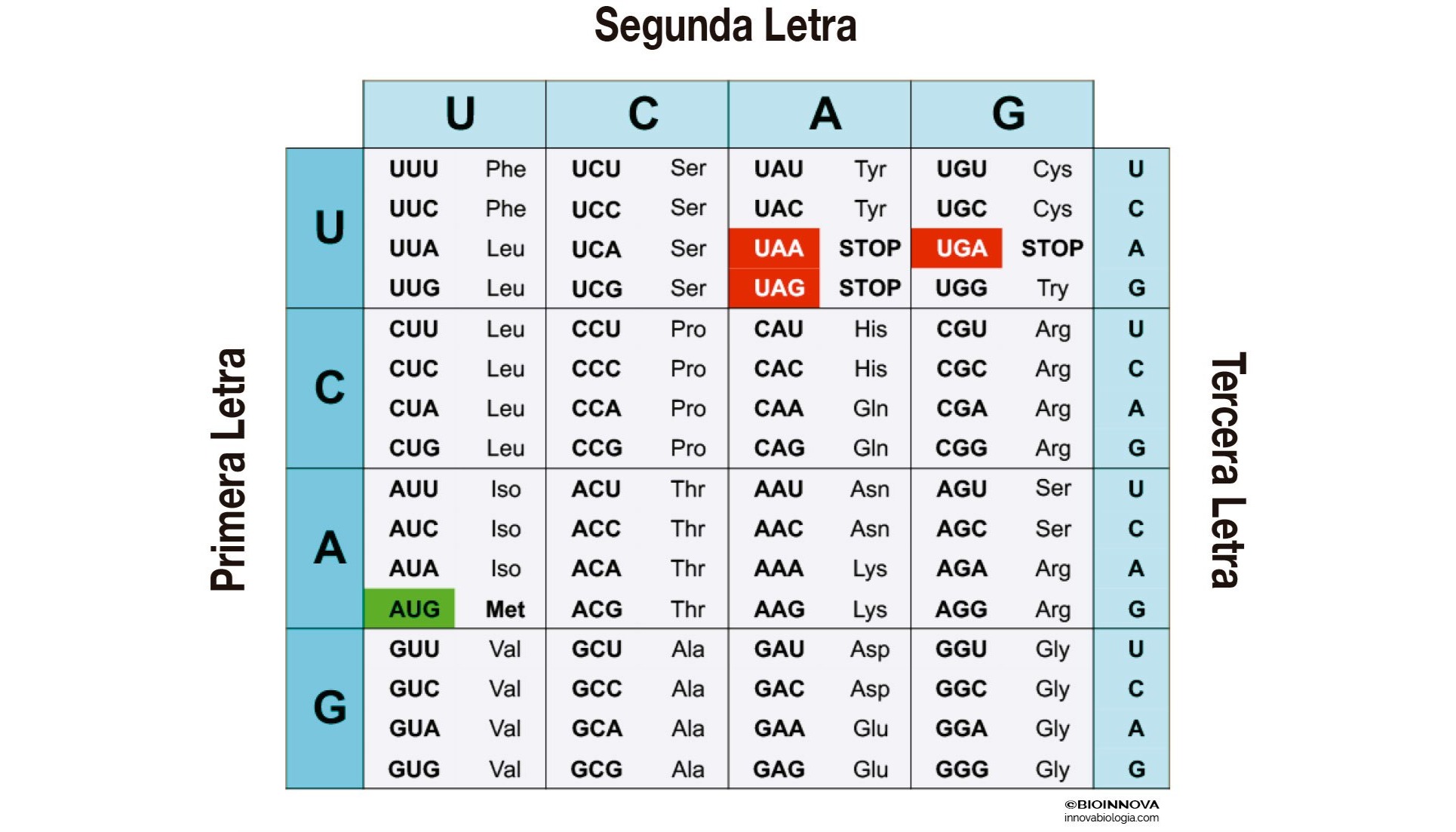 TOMi.digital - Mortal kombat: Biology