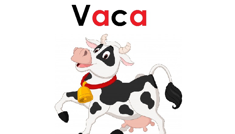 TOMi.digital - 3. Clase Transición A: comprensión de lectura