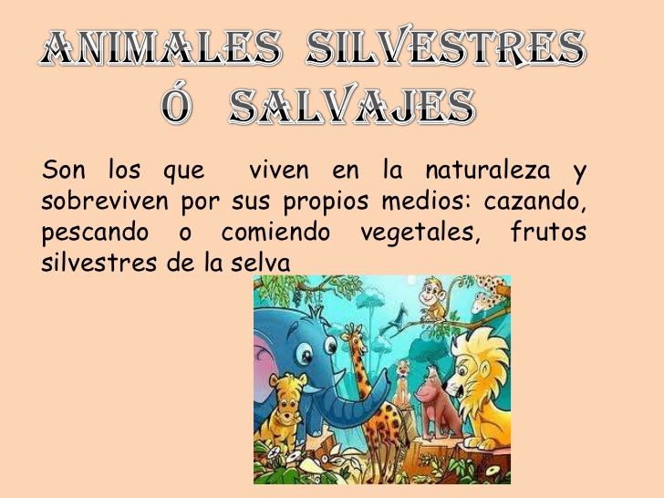 TOMi.digital - Conozcamos Animales Domesticos Y Salvajes