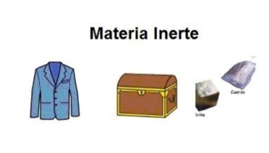 TOMi.digital - Los seres vivos e inertes