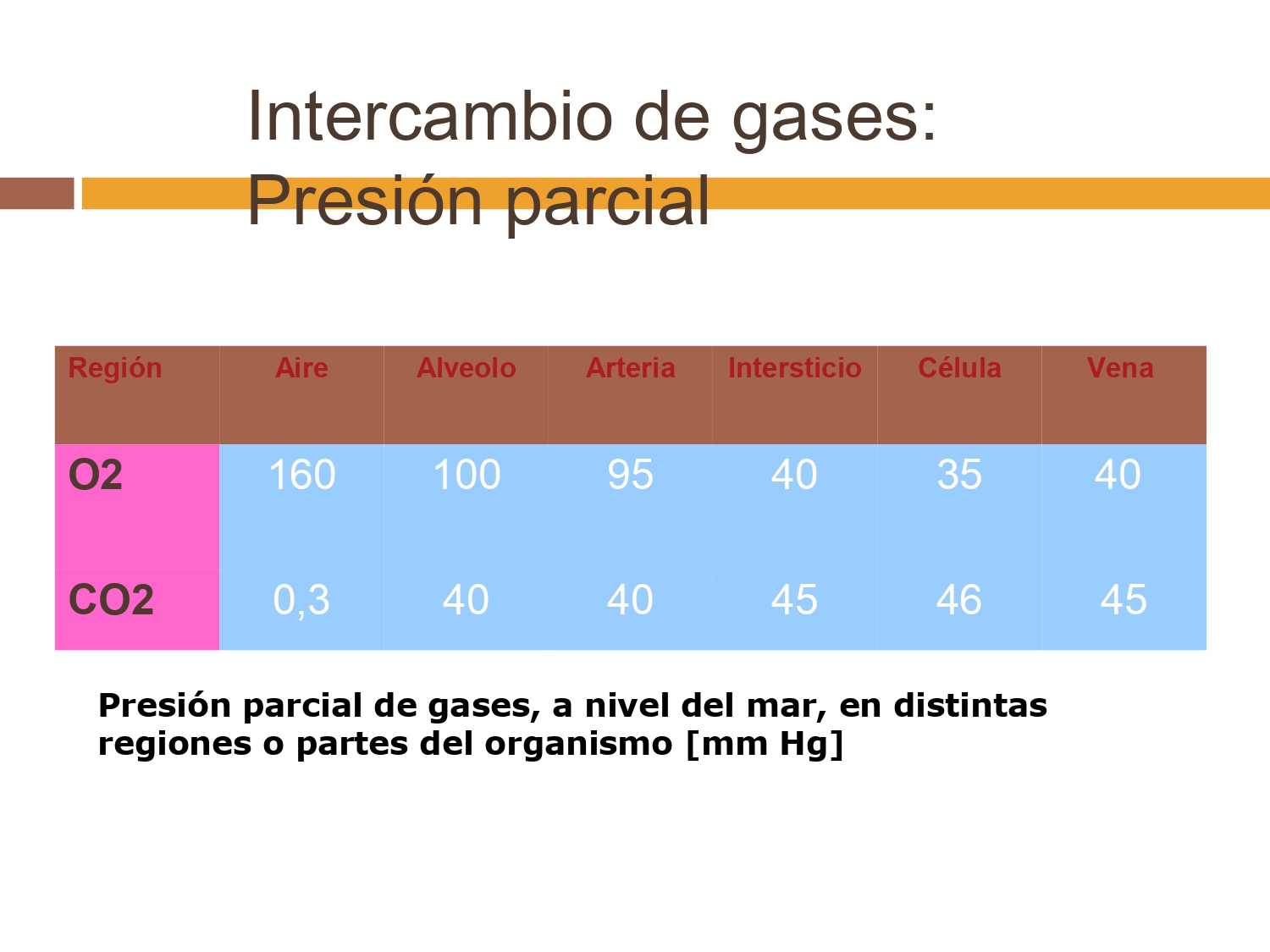 TOMi.digital - Respiración 2, Fisiología, Liceo Canadiense