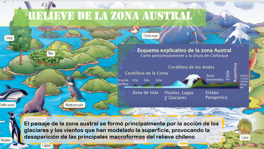 TOMi.digital - CLASE 5 CARACTERÍSTICAS GEOGRÁFICAS DE LA ZONA AUSTRAL