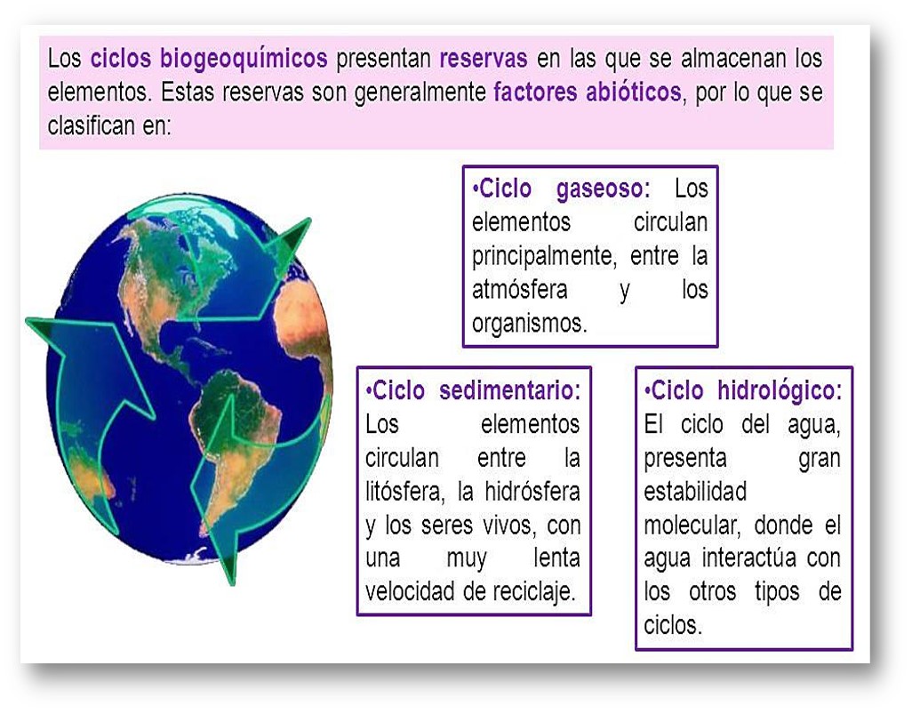 TOMi.digital - 8° Grado - Ciclos biogeoquímicos