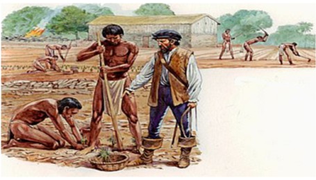 TOMi.digital - La Sociedad Colonial y formas de trabajo 8°
