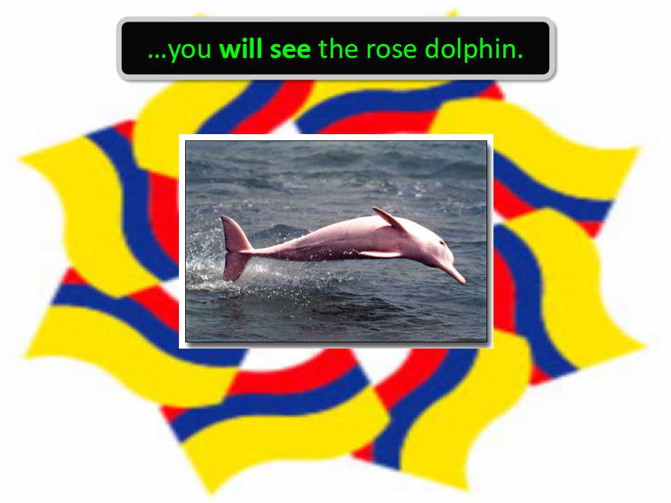 TOMi.digital - FIRST CONDITIONAL