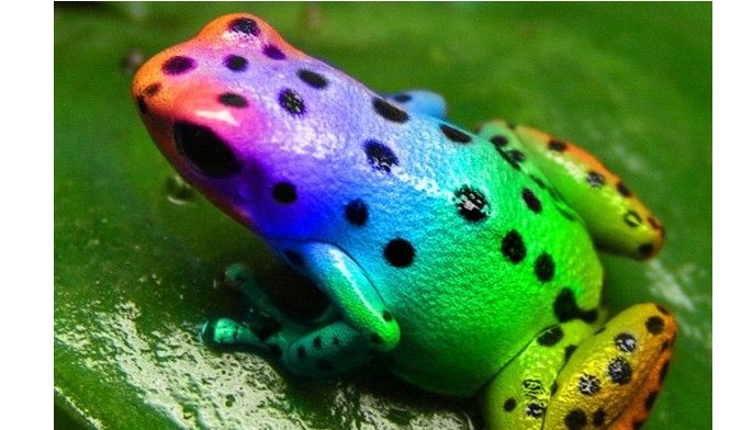 TOMi.digital - Places of work-First Conditional