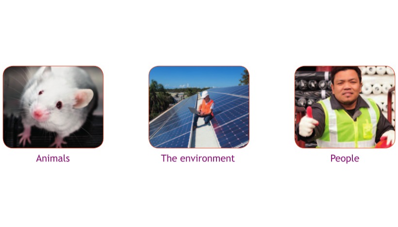 TOMi.digital - Places of work-First Conditional