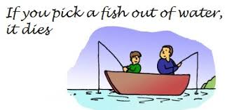 TOMi.digital - ZERO CONDITIONAL