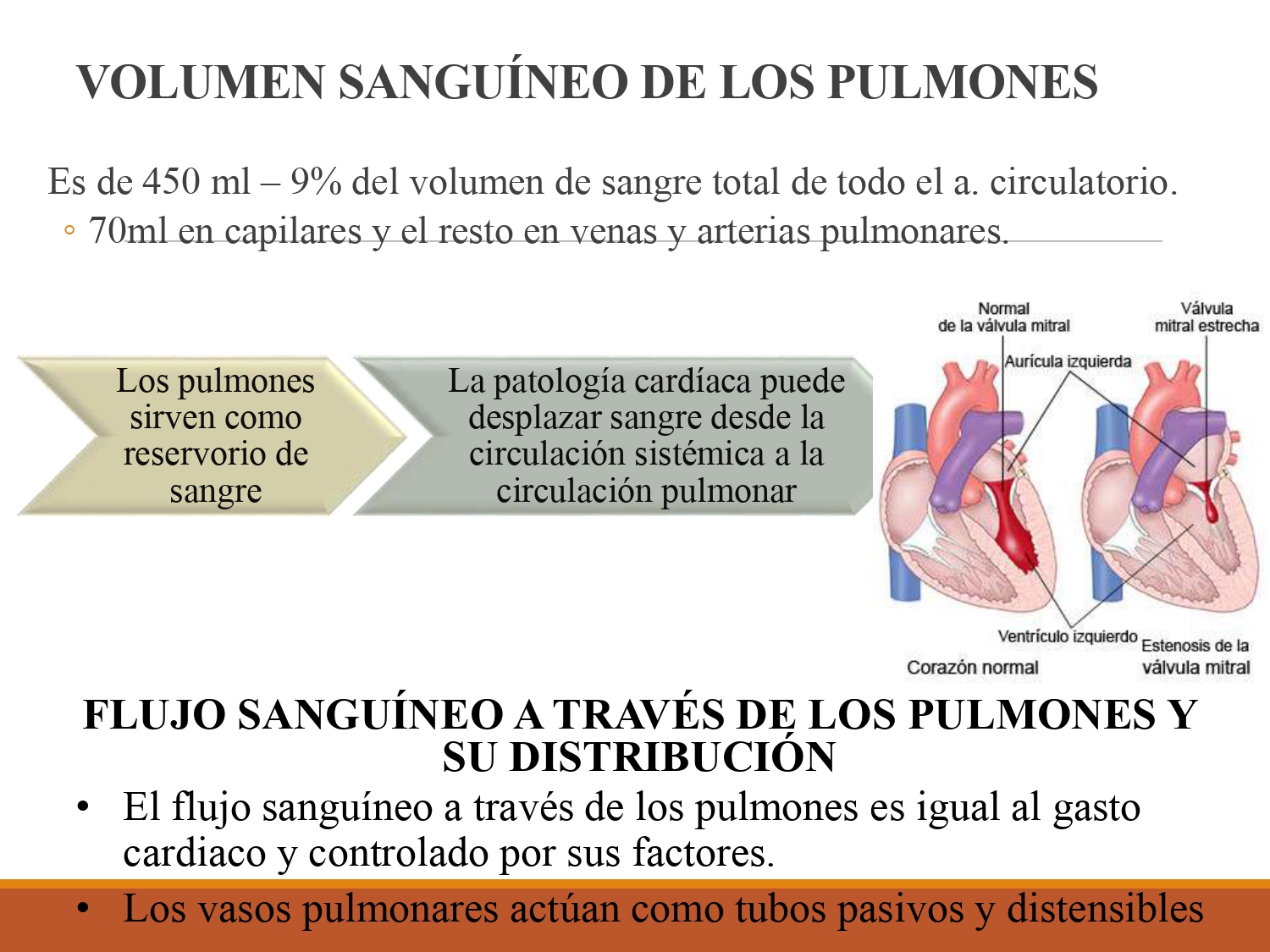 TOMi.digital - Circulación Pulmonar, Fisiología, Liceo Canadiense R.