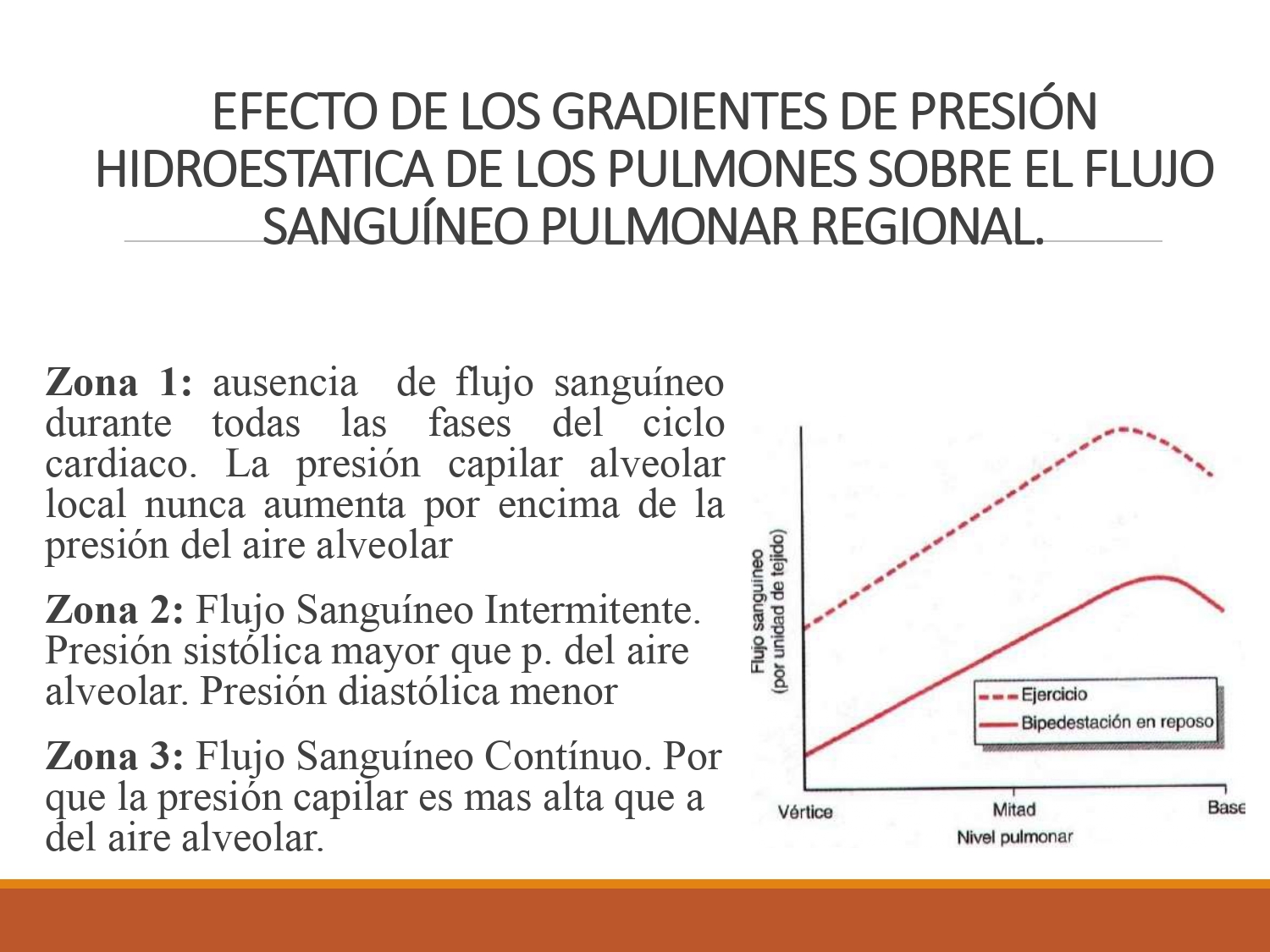 TOMi.digital - Circulación Pulmonar, Fisiología, Liceo Canadiense R.