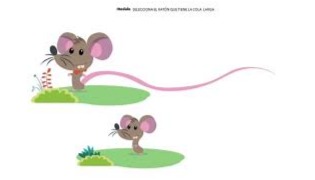 TOMi.digital - Repaso 3ero