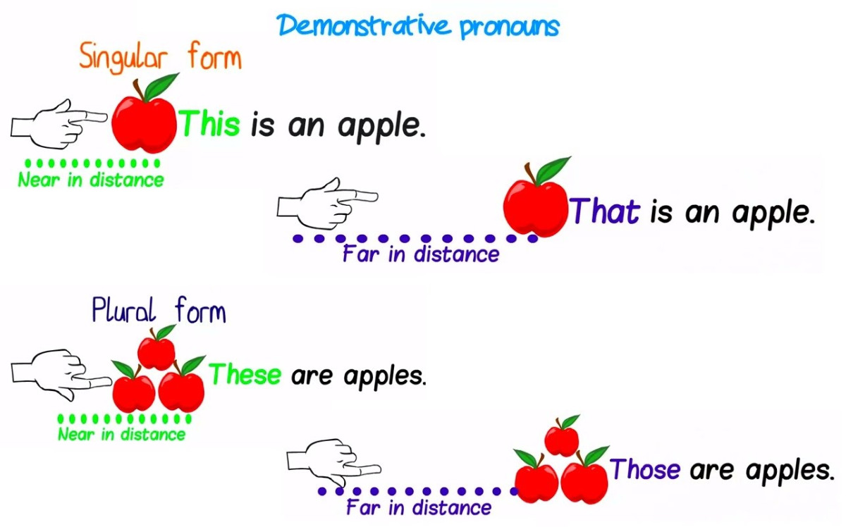 TOMi.digital - Demonstratives