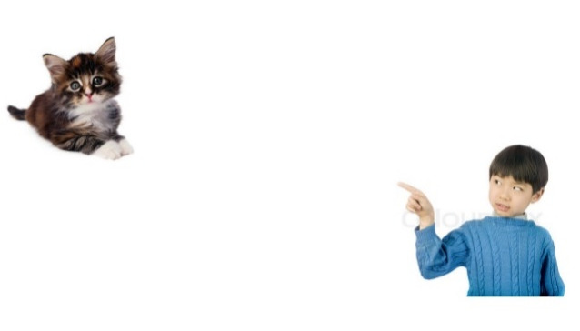 TOMi.digital - FINAL CLASS SECOND BASIC