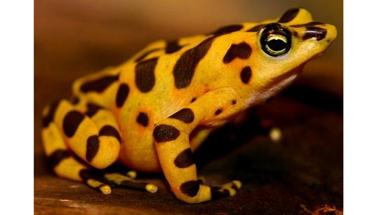 TOMi.digital - FINAL CLASS SECOND BASIC