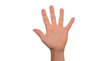 TOMi.digital - SÍLABA MA