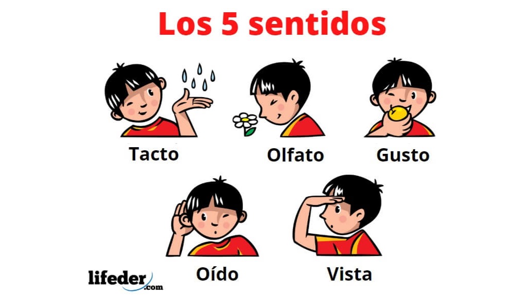 TOMi.digital - Cuido mis sentidos