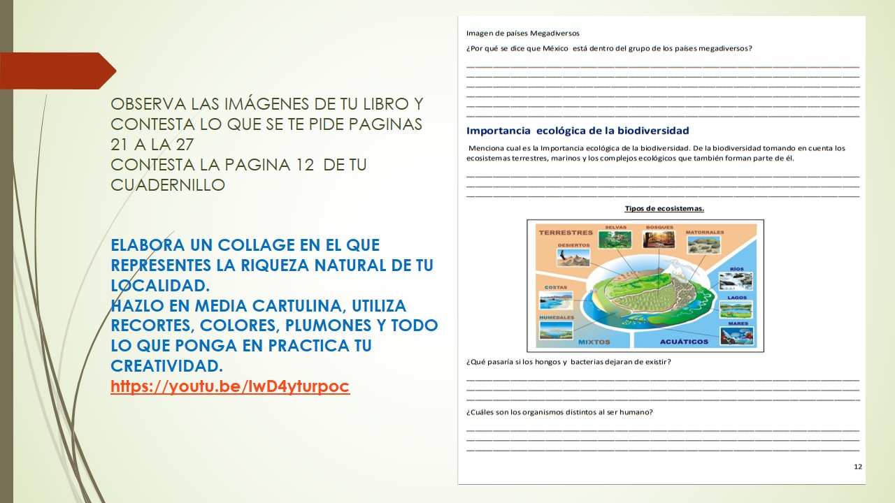 TOMi.digital - LA RIQUEZA DE MI LOCALIDAD