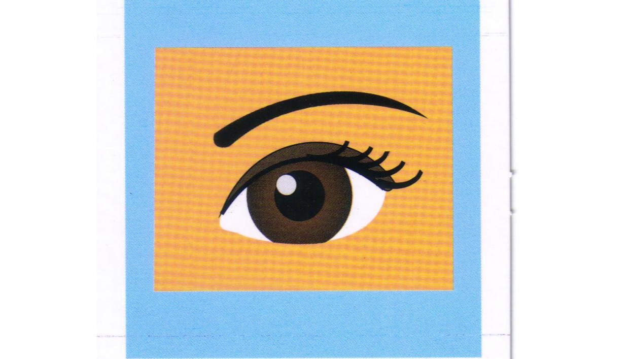 TOMi.digital - Parts of the body